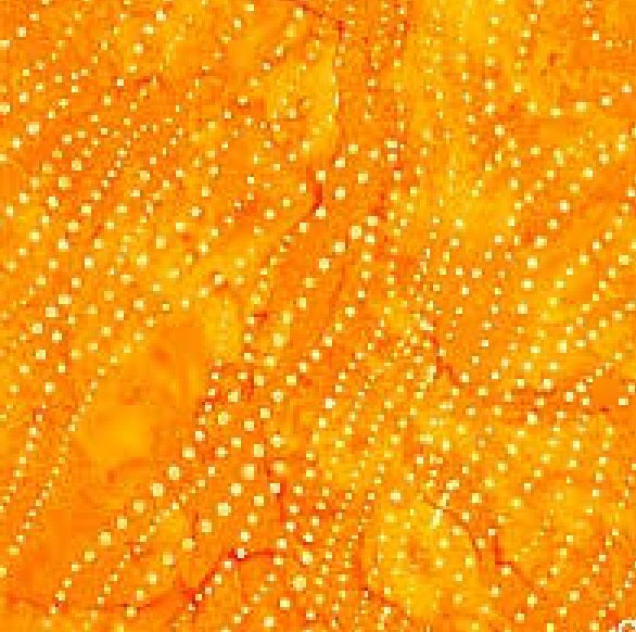 Timeless Treasures Bead Strand Batik Fabric in Pumpkin – All About Fabrics